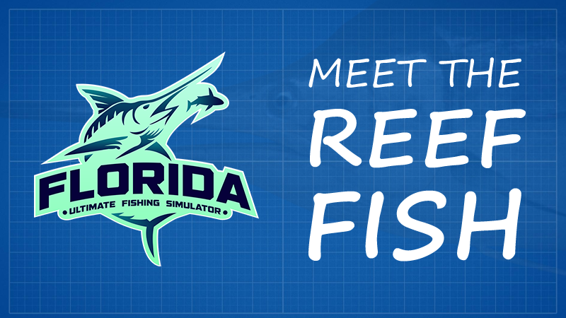 Ultimate Fishing Simulator - Florida DLC will be released on December ...