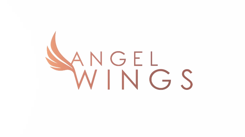 Steam :: Angel Wings :: Angel Wings 1/23 Update - AMD Texture Fix