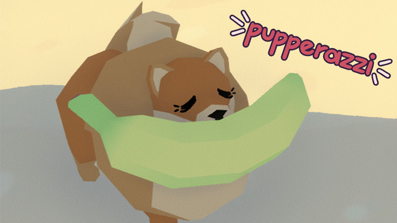 Pupperazzi: The Dog Photography Game - Kitfox Celebrates 10 Years of ...