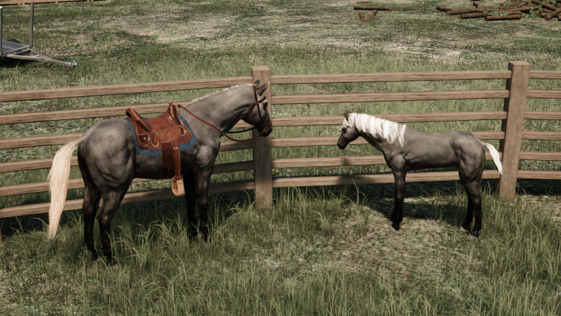 Steam :: Ranch Simulator :: Now Available for Testing: Horse Breeding ...