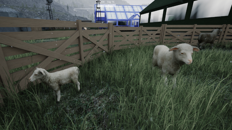 Ranch Simulator: Build, Hunt, Farm - Sheep Update NOW LIVE | Sheep and ...