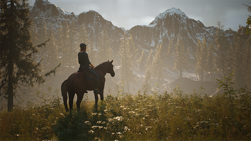 Morels: The Hunt - Morels The Hunt UPDATE! - Steam News