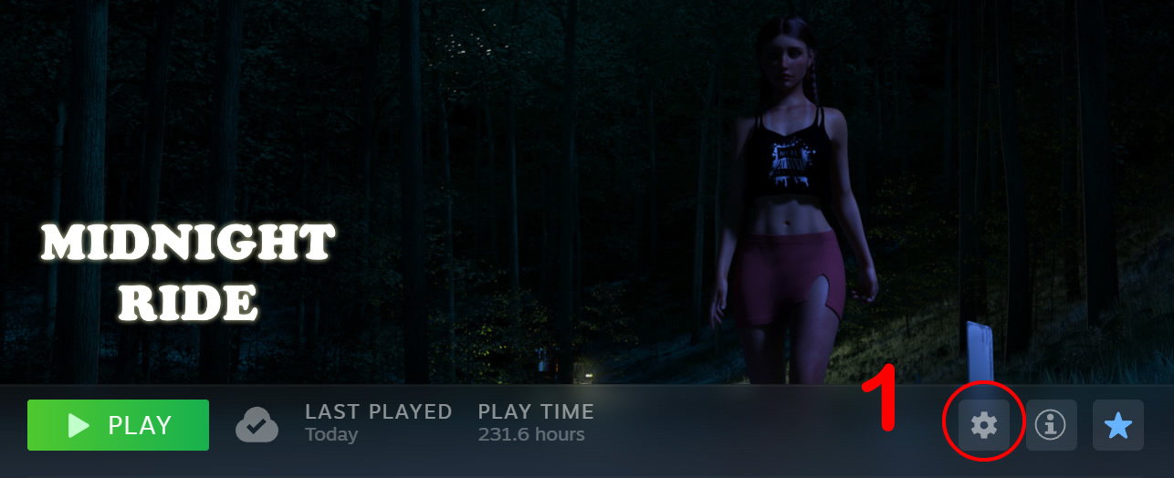 Steam Community :: Midnight Ride