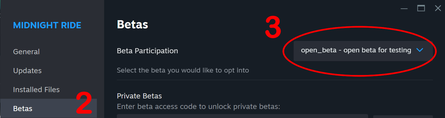 Steam Community :: Midnight Ride