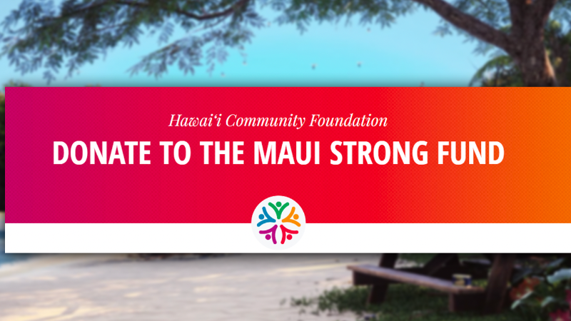 Fractured Veil - Join Us in Supporting the Hawaii Community Foundation ...