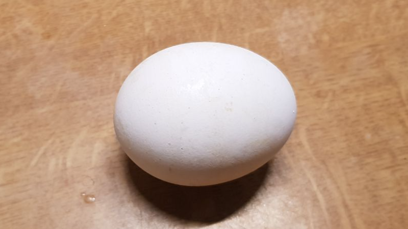 Outcore: Desktop Adventure - Egg - Steam News