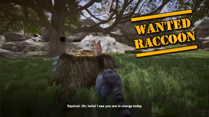 Wanted Raccoon - Bright moments from bloggers` reviews on Wanted ...