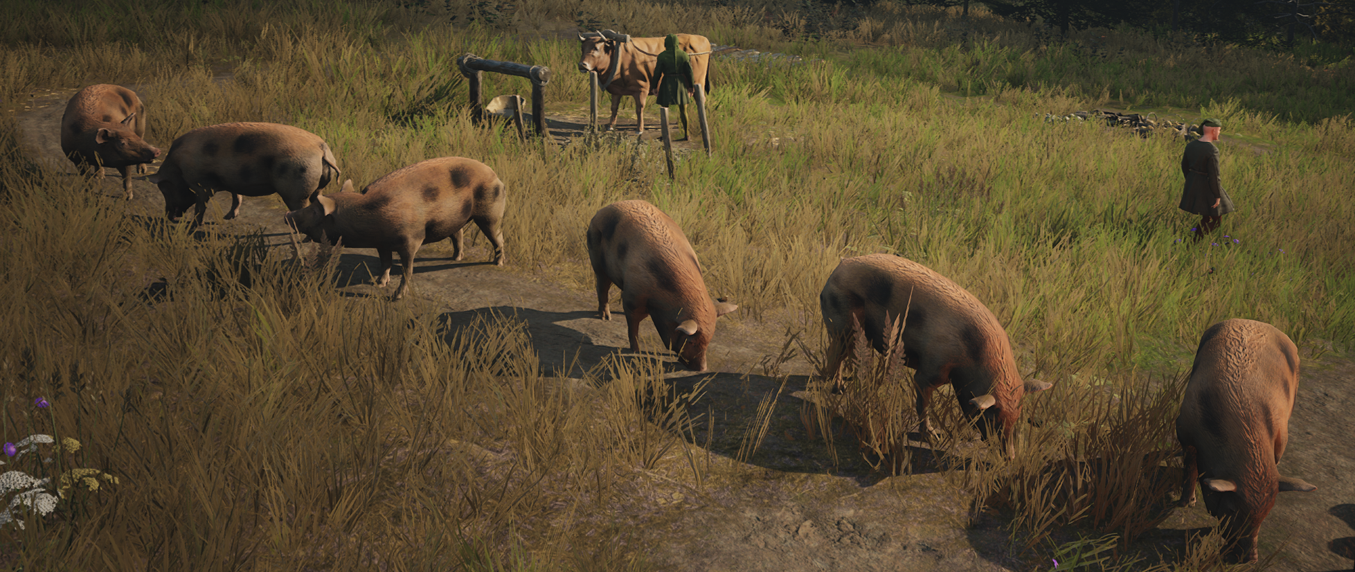 Open beta bugfixes (and Piggies) · Manor Lords update for 8 September ...