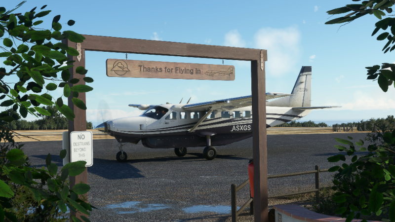Microsoft Flight Simulator (2020) 40th Anniversary Edition ...