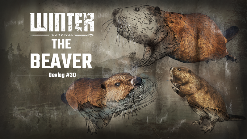 Winter Survival - A New Animal in Winter Survival? Meet The Beaver🌲 ...
