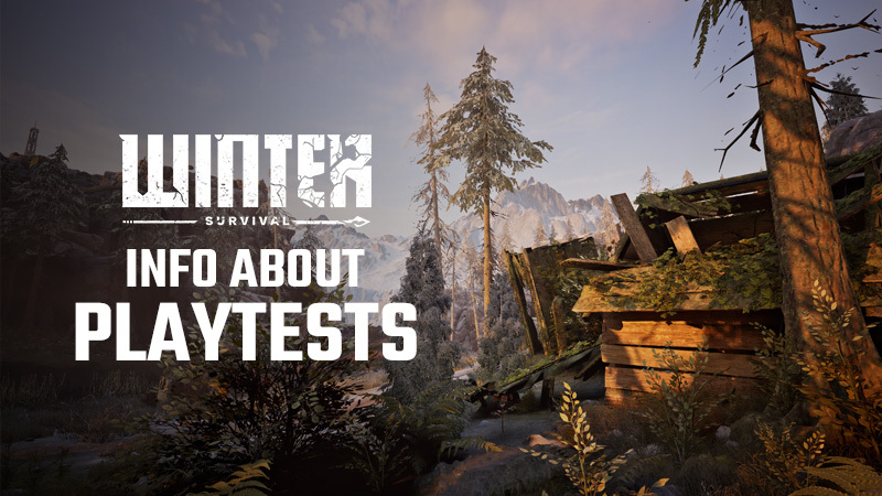 Winter Survival - Closed Playtest for All of You Who Picked Up the Game ...