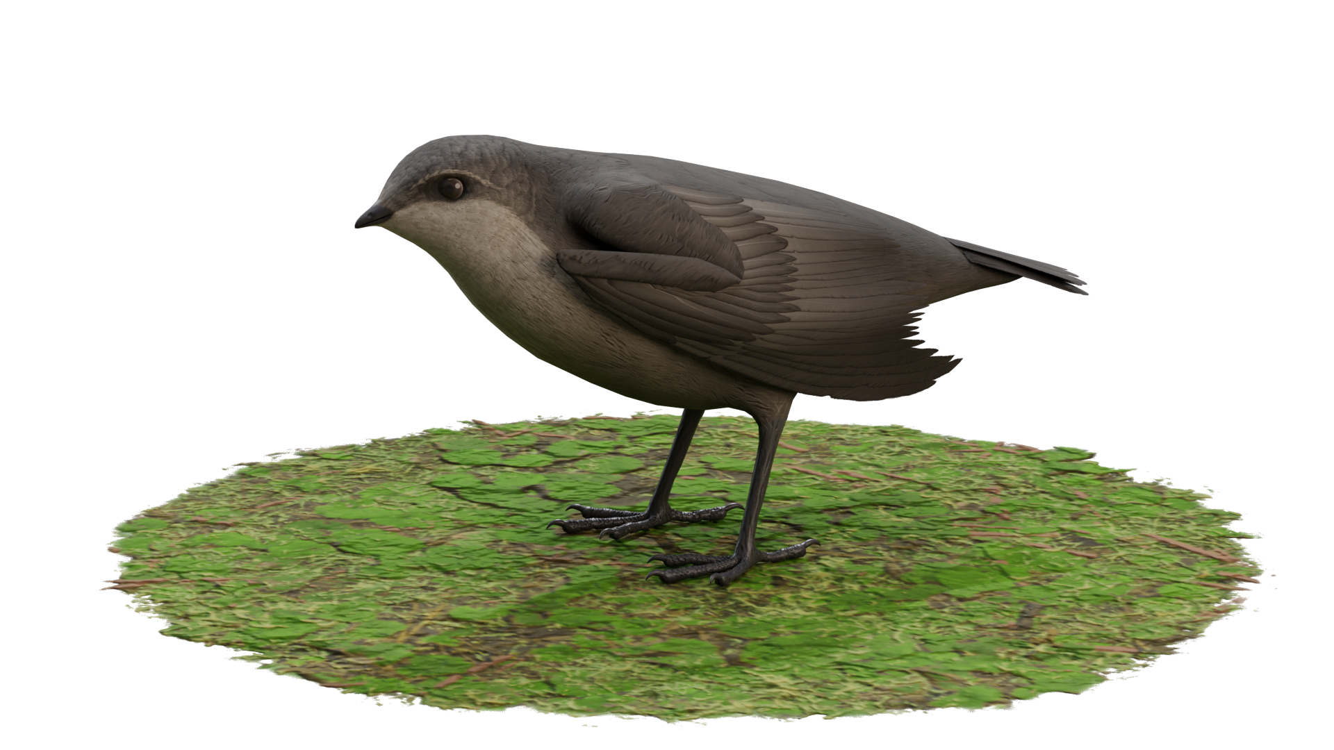 Steam Community :: Birding Simulator