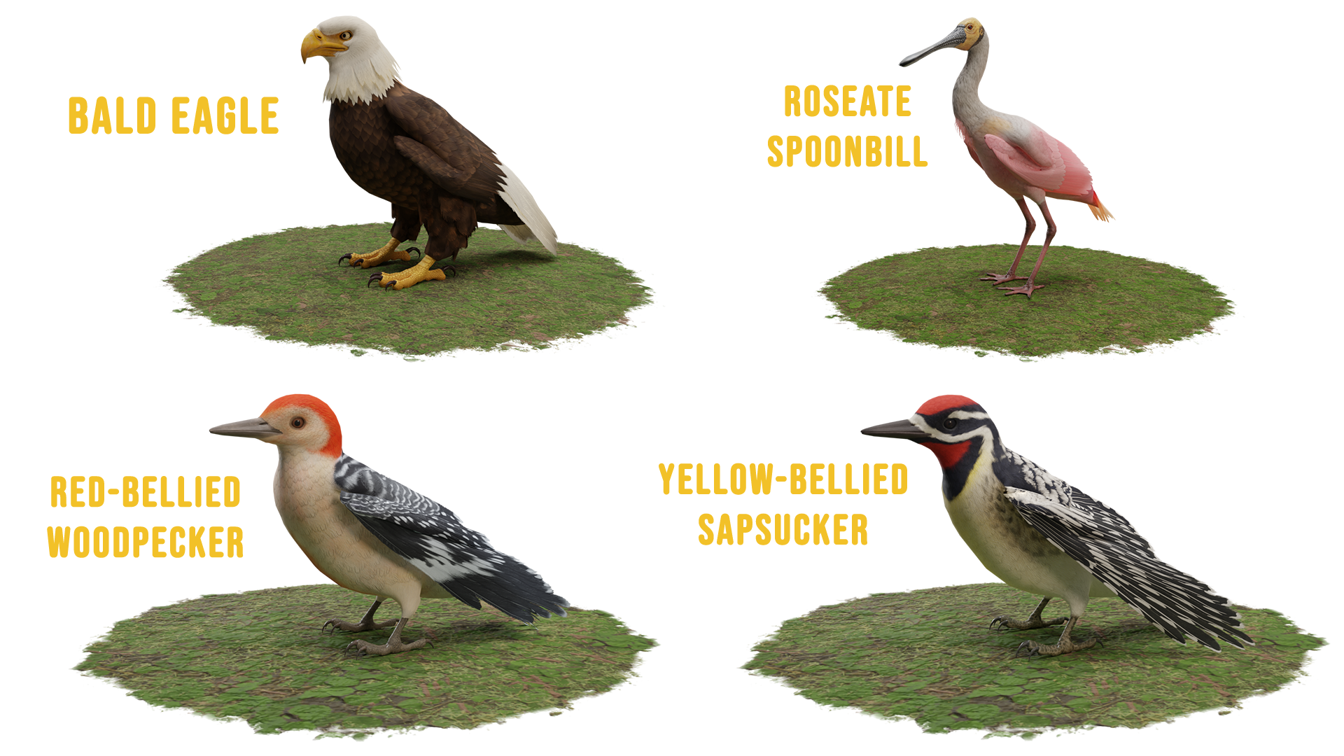 Steam Community :: Birding Simulator