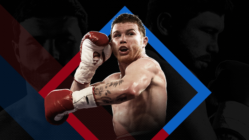 Undisputed - Undisputed Full Release Announcement - Steam News