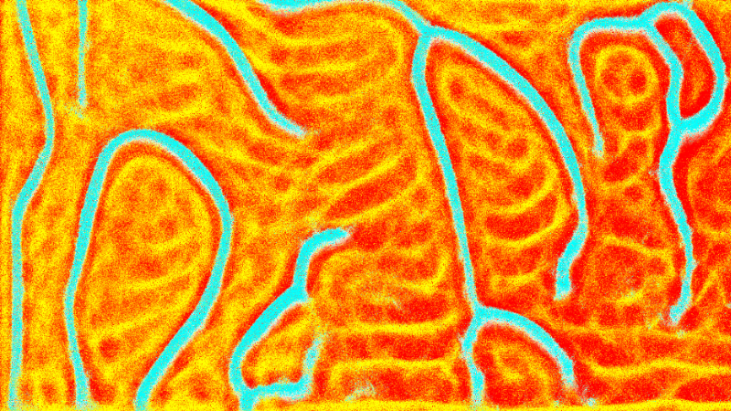 PHYSARUM: Slime Mold Simulator - Patch v1.1 Now Available! - Steam News