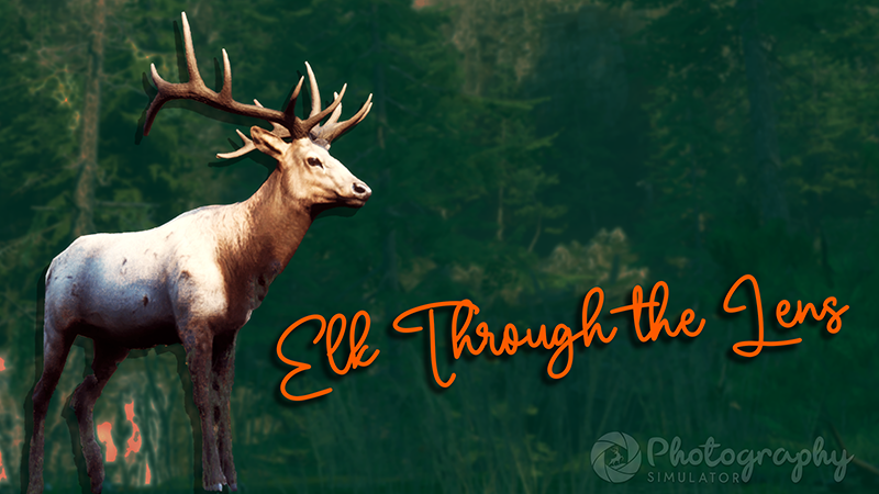 Photography Simulator - Elk Through the Lens - Steam News