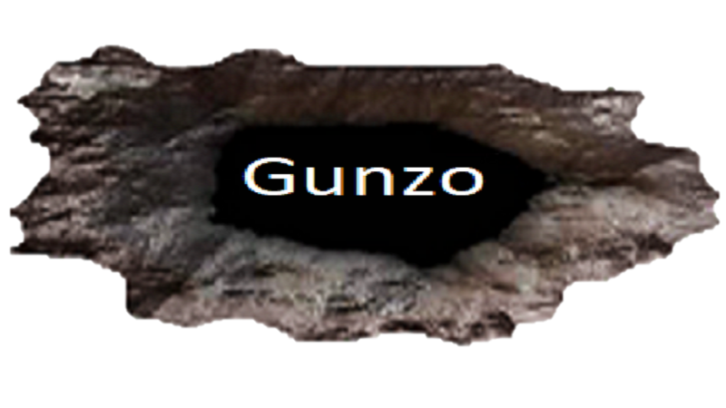 GUNZO! - MULTIPLAYER - Steam News