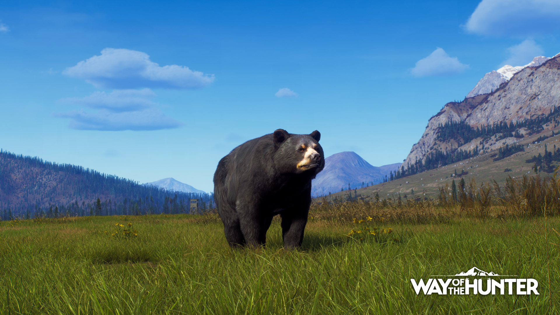 Steam Community :: Way of the Hunter