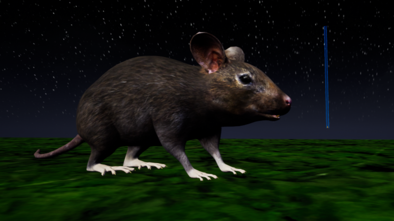 RAT MEMORY - June 16 2022 demo update - Steam News