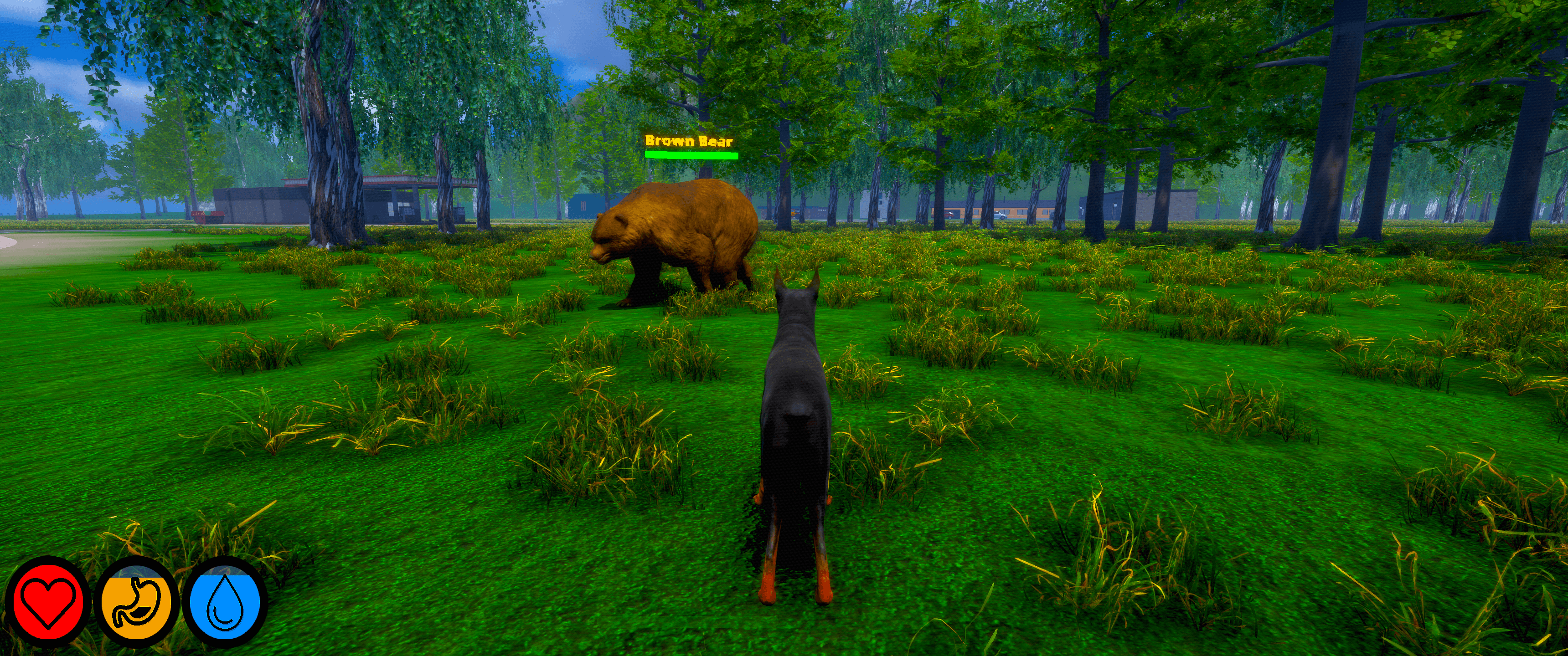 Sample of the Bear: