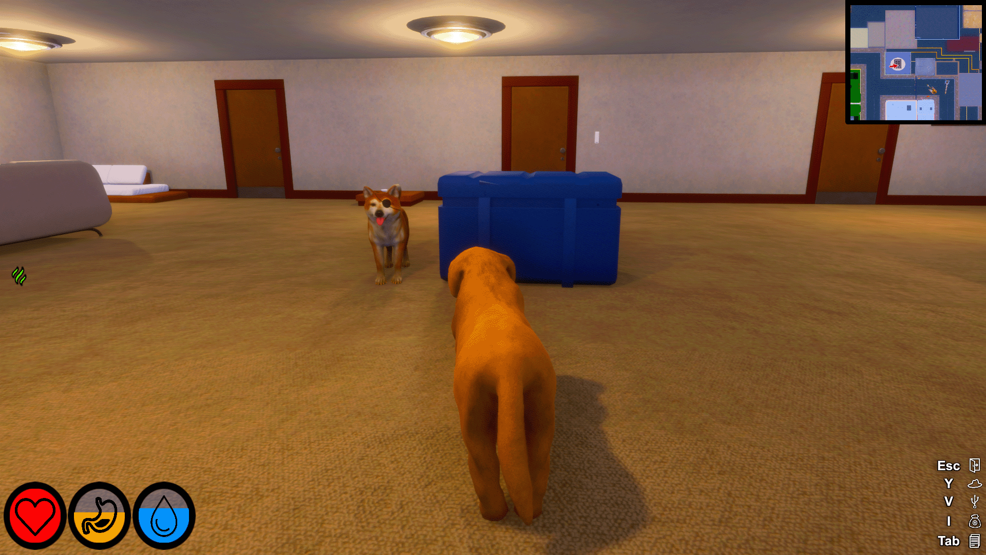 Lost Paws Beta 2024 is live! – Dungeoneering Studios