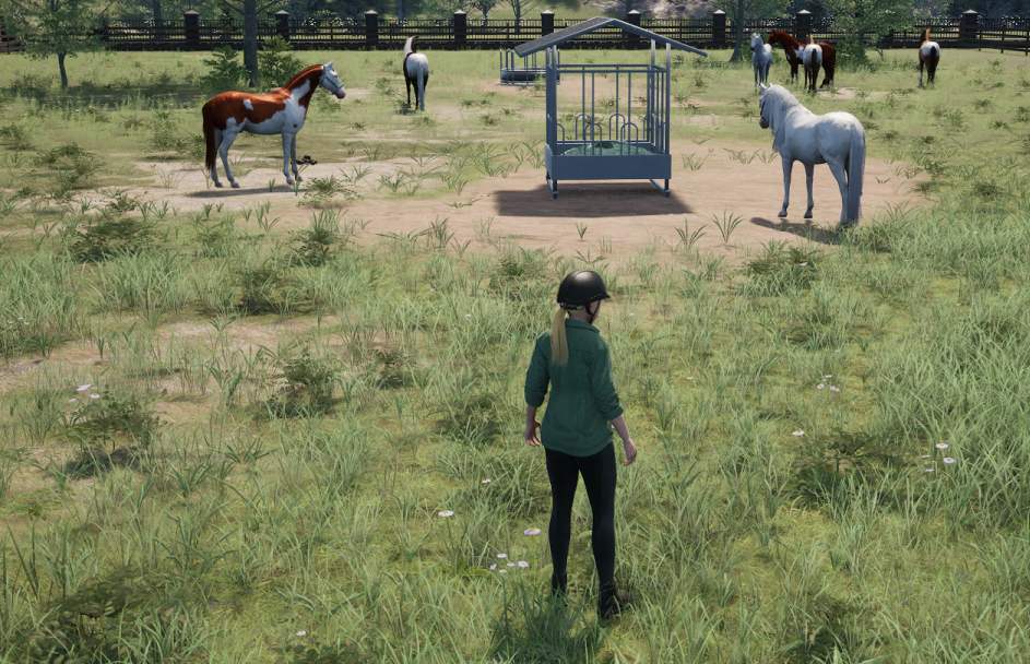 Steam Community :: Unbridled: That Horse Game