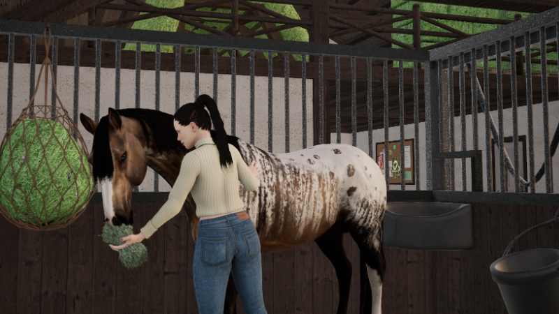 Steam :: Unbridled: That Horse Game :: What to Expect in Version 0.2.1 ...
