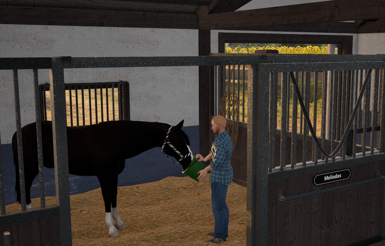Steam Community :: Unbridled: That Horse Game
