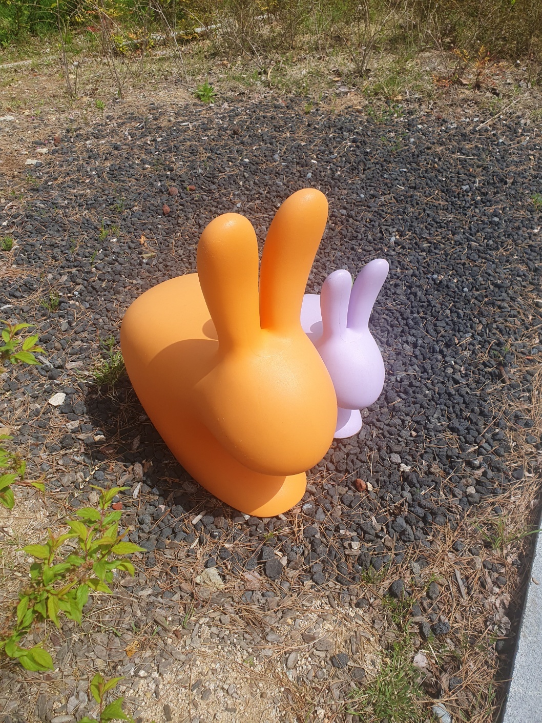 Steam Community :: Star Rabbits