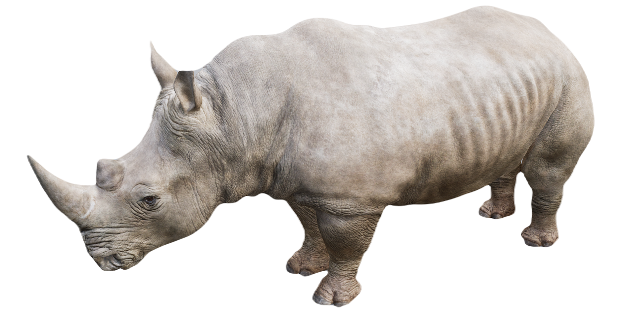 Steam Community :: Project Hunt