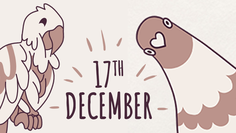 Birds Organized Neatly - The Birds will fly into your home 17th ...