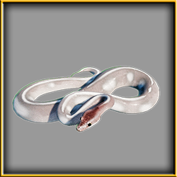 Steam Community :: Exotica Pet Shop Simulator 2