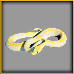 Steam Community :: Exotica Pet Shop Simulator 2