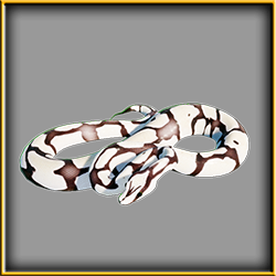 Steam Community :: Exotica Pet Shop Simulator 2