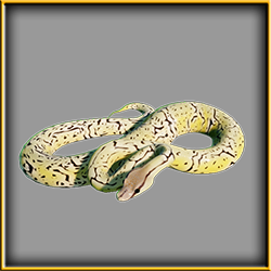 Steam Community :: Exotica Pet Shop Simulator 2