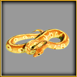 Steam Community :: Exotica Pet Shop Simulator 2