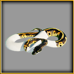 Steam Community :: Exotica Pet Shop Simulator 2