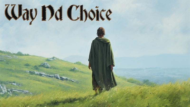 Way Nd Choice - Update goal visibility - Steam News