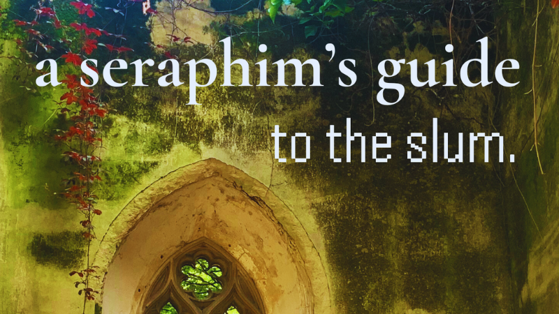 Seraphim Slum - A Seraphim's Guide To The Slum - Out Now! - Steam News