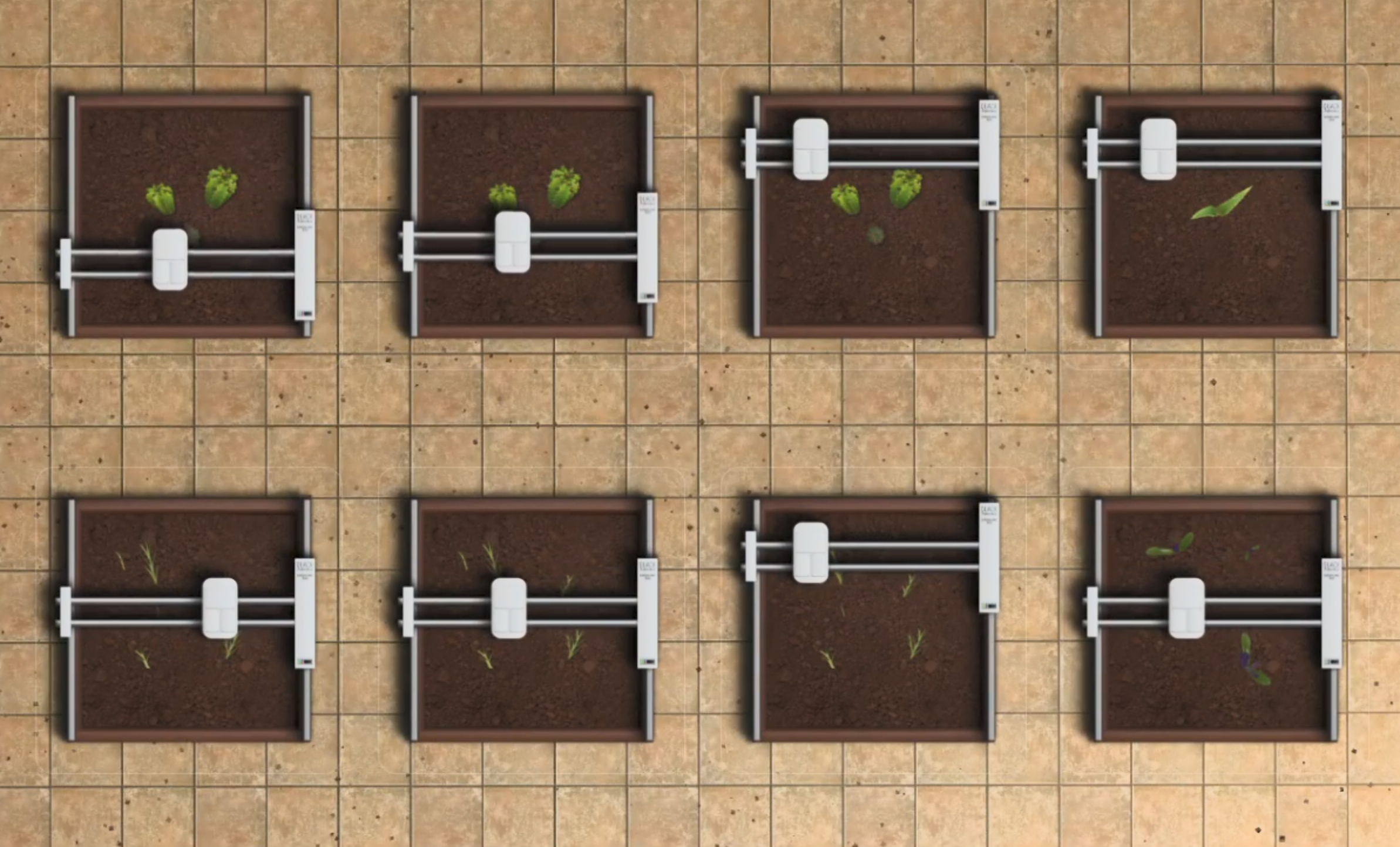 Jugs Bay v.9 - Nora and Angelica · Jugs Bay update for 19 November 2025 ...