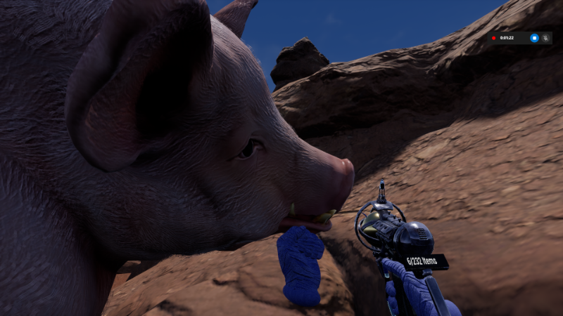 Pih - Pig grabbing added for PC - Steam News