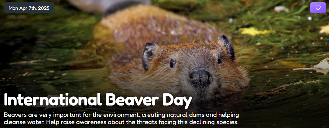 Steam Community :: A Beaver's Tale