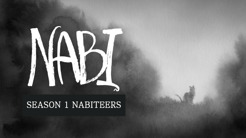 NABI - NABI Game Update Announcement - Steam News