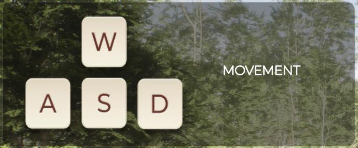 Image 2. Movement Keys