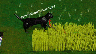 Quests, emails and the cats have eyes · Mow Meow update for 26 June ...