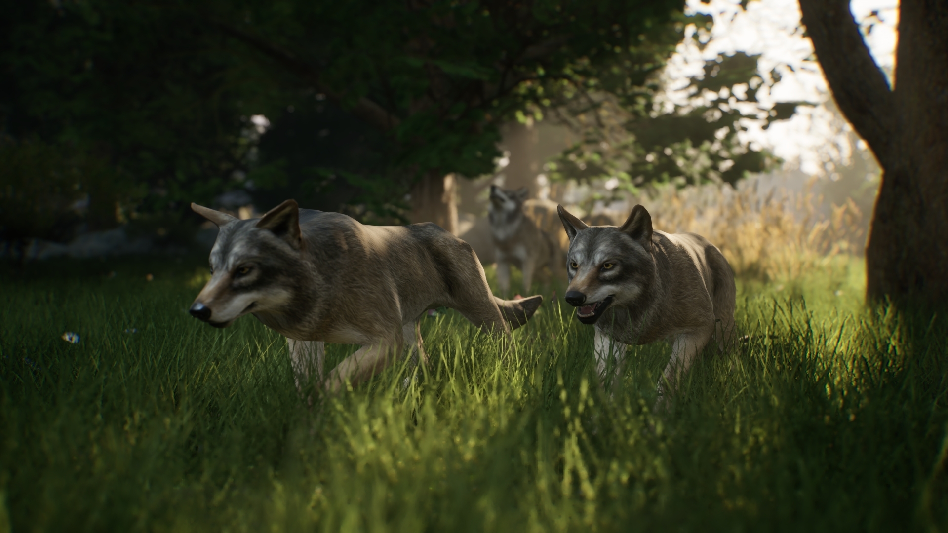 Steam Community :: Noble Legacy