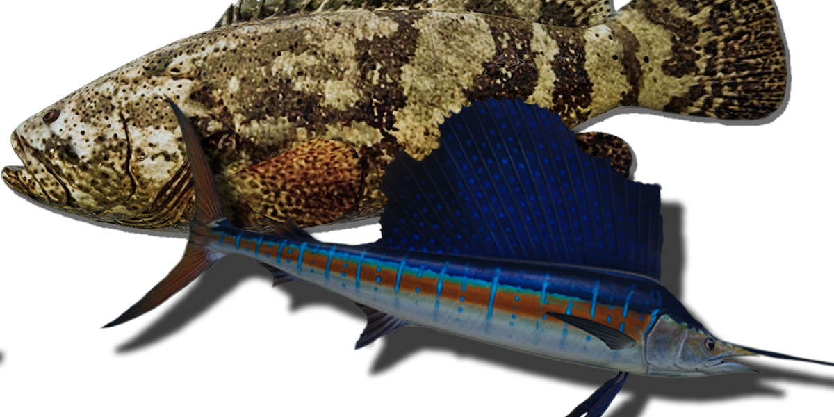 Added 2 New Saltwater Fish + Tons of New UI/Stats + New Exclusive ...