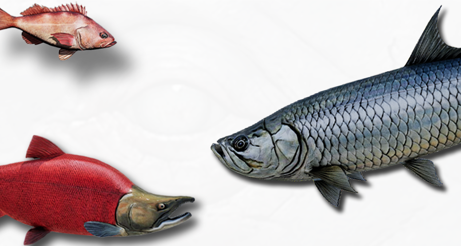 Season 2 + Mythic Fish Type + Ultra Powerful Rod + New Monsters/Fishies ...