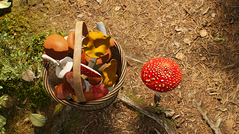 Steam Community :: Mushroom Hunter Simulator