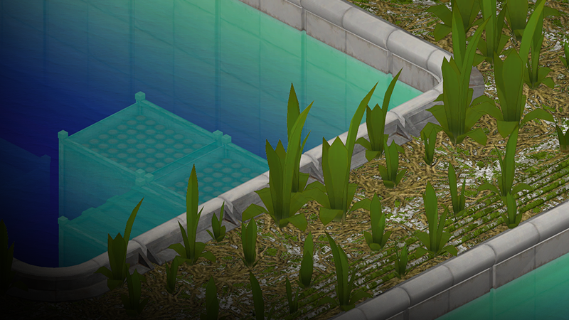 Dandelion Void - From Softcover to Software - Steam News